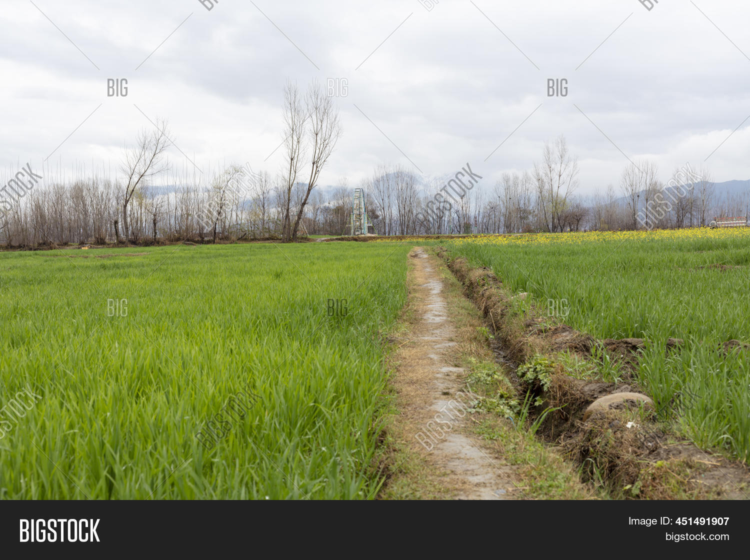Pedestrian Pathway Image & Photo (Free Trial) | Bigstock