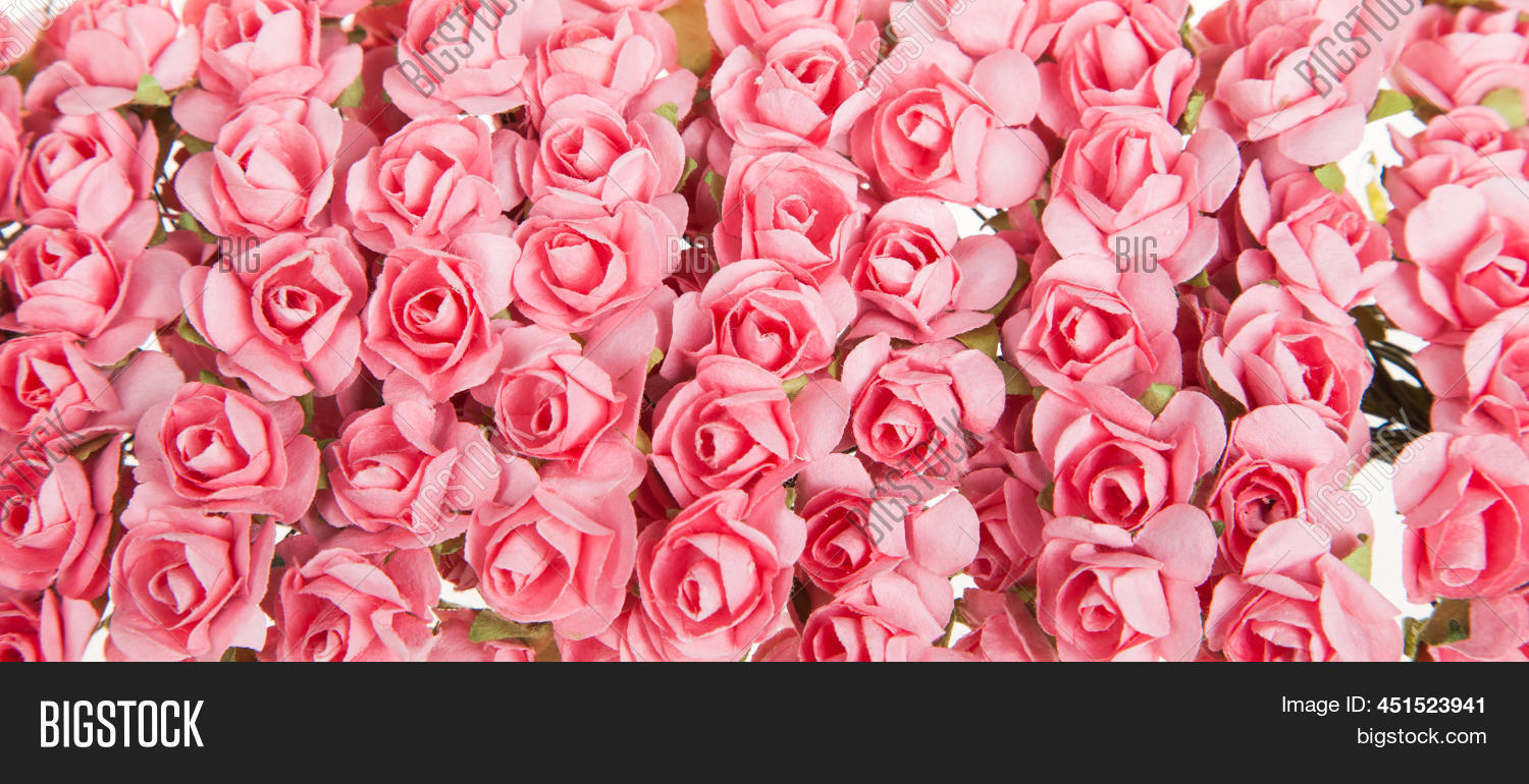 Background Pink Rose Image & Photo (Free Trial) | Bigstock