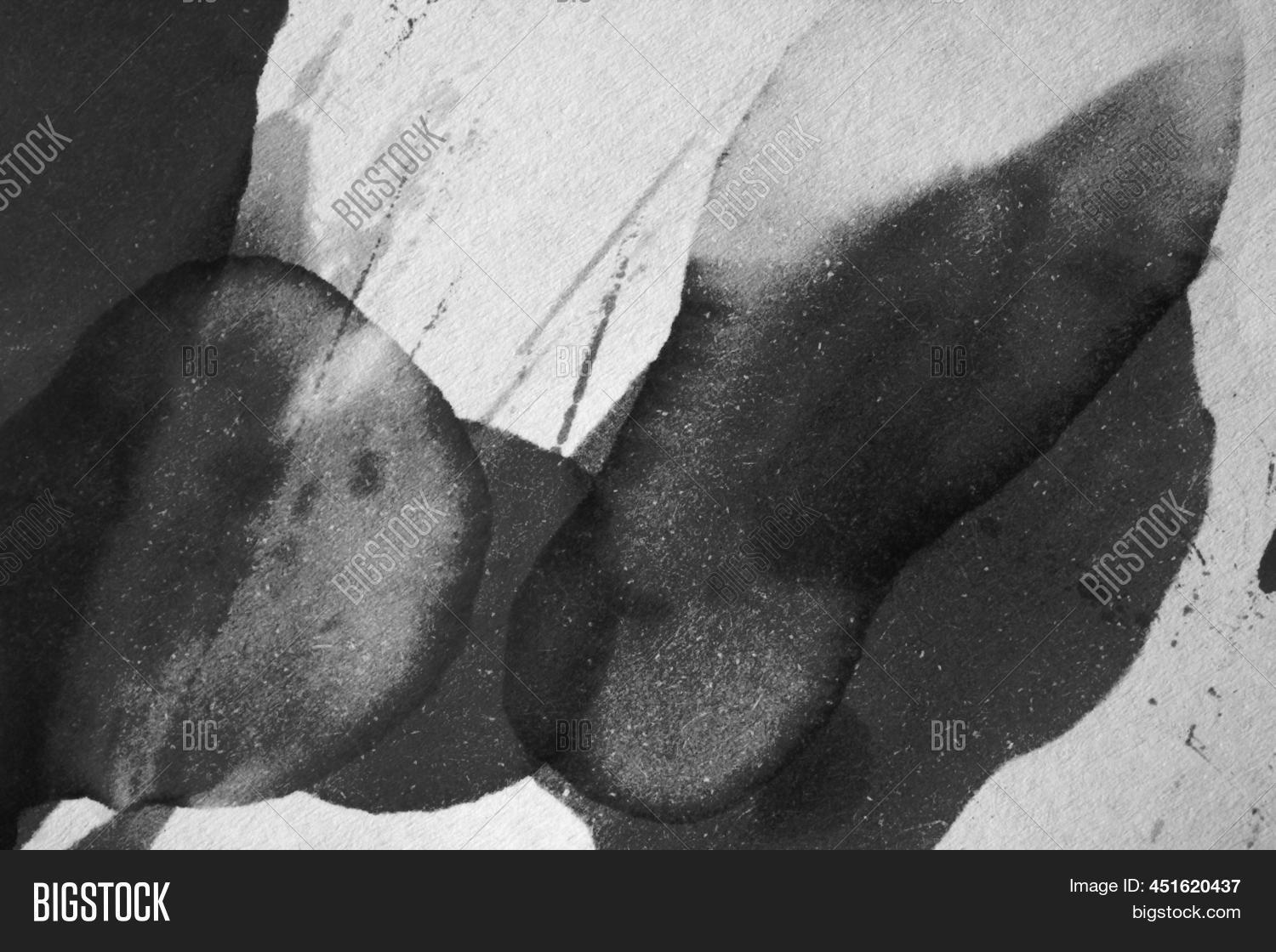 Art Grain Dust Texture Image & Photo (Free Trial) | Bigstock