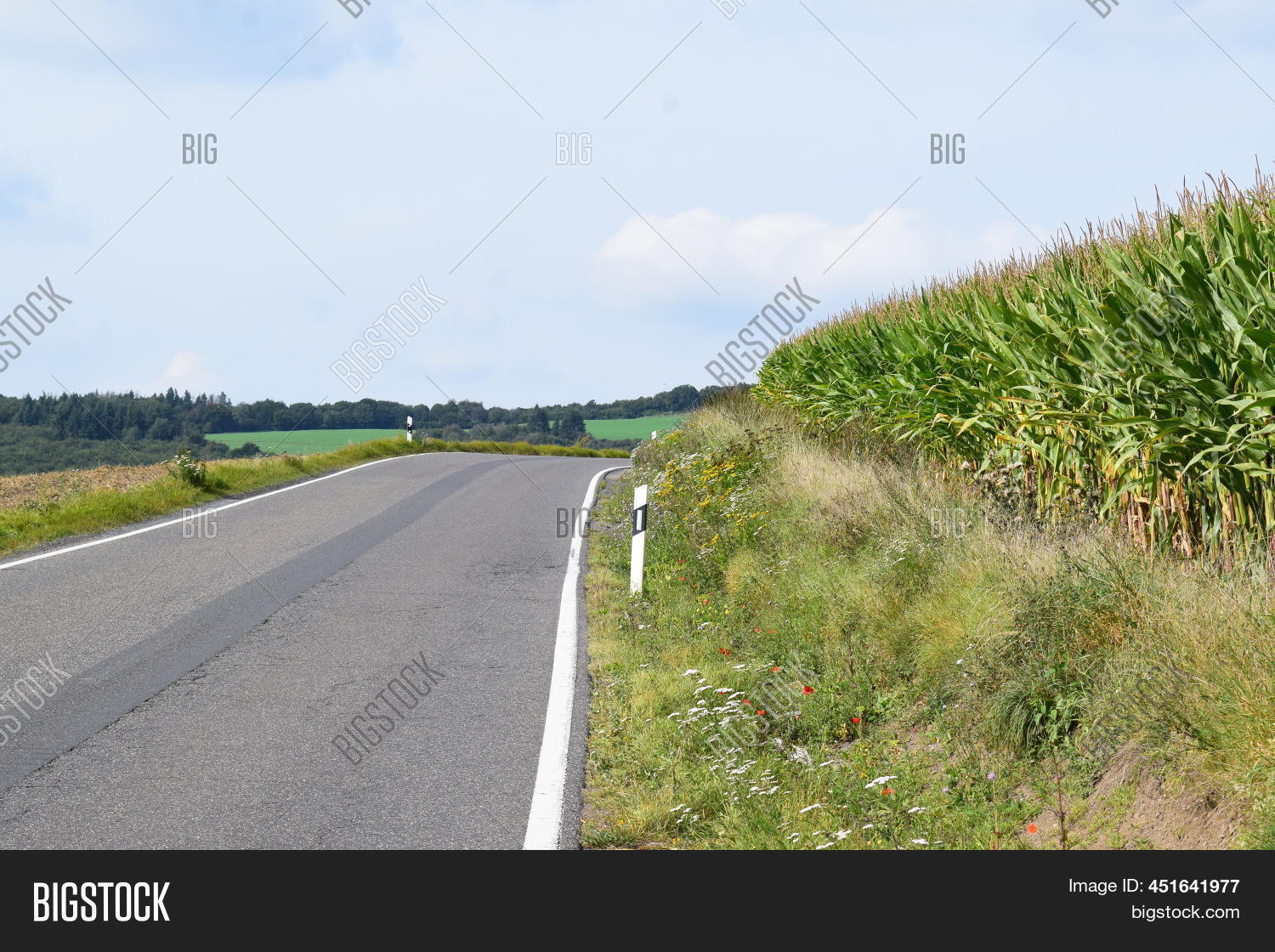 Tall Corn Field Inside Image & Photo (Free Trial) | Bigstock