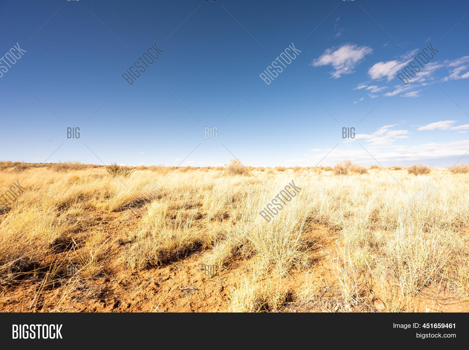 Overexposed Shot Image & Photo (Free Trial) | Bigstock