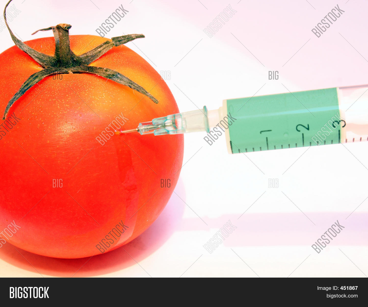 Gmo Tomato Varieties