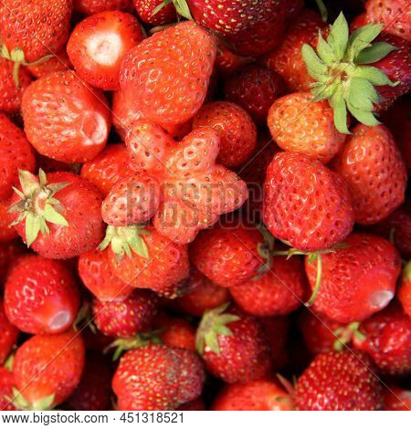 Strawberry Berries Image & Photo (Free Trial) | Bigstock