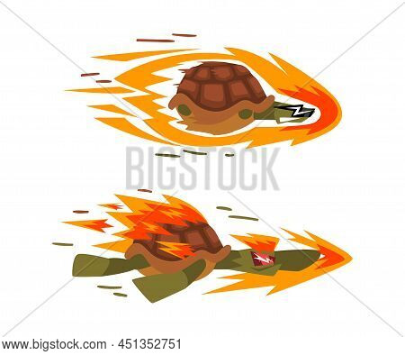 Fast Turtles Flame Vector & Photo (Free Trial) | Bigstock