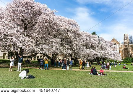 Seattle Wa., Usa - Image & Photo (Free Trial) | Bigstock