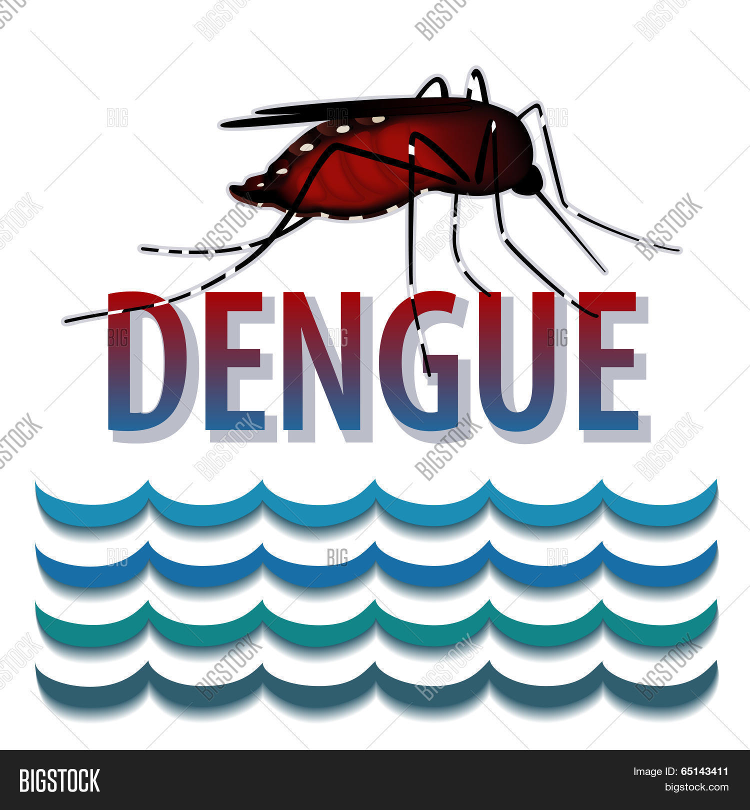 Dengue Fever Mosquito Vector & Photo (Free Trial) | Bigstock