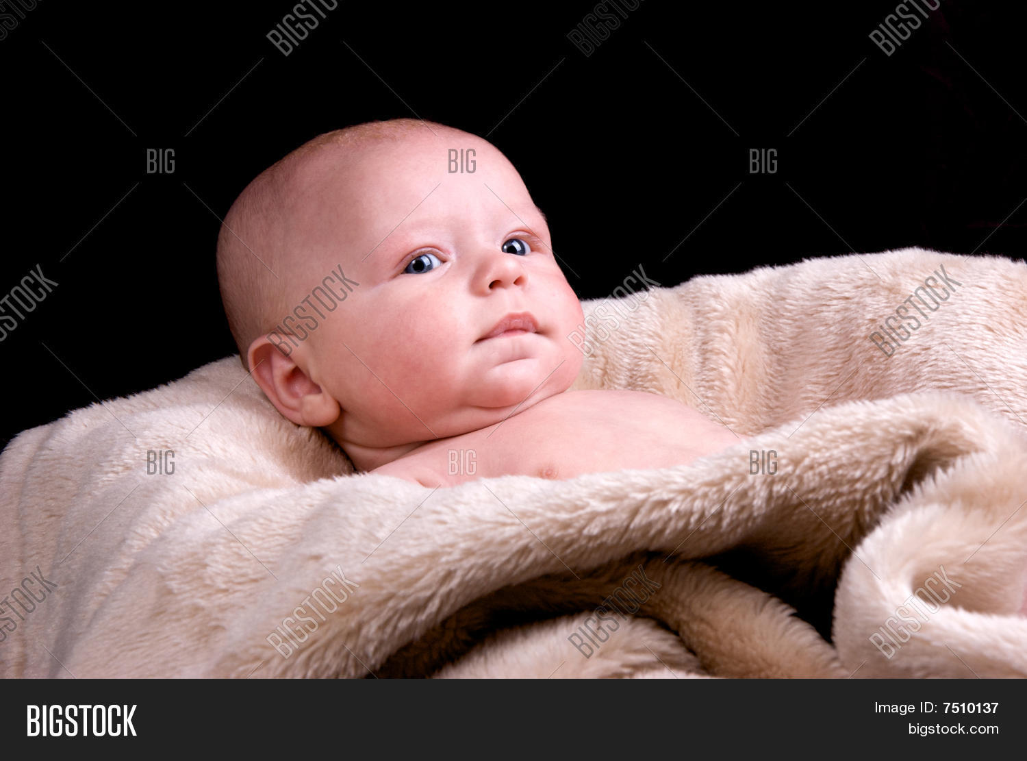 3 Month Old Baby Boy Image & Photo (Free Trial) | Bigstock