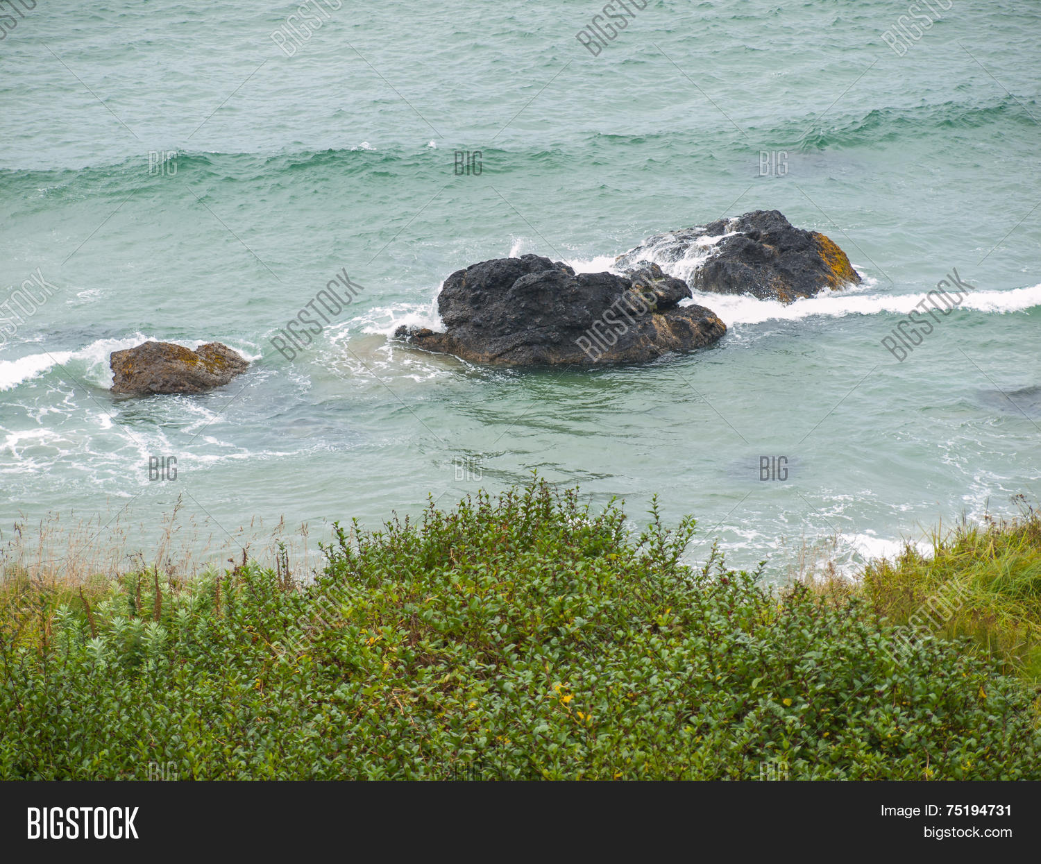 Ocean Overlook Ecola Image & Photo (Free Trial) | Bigstock