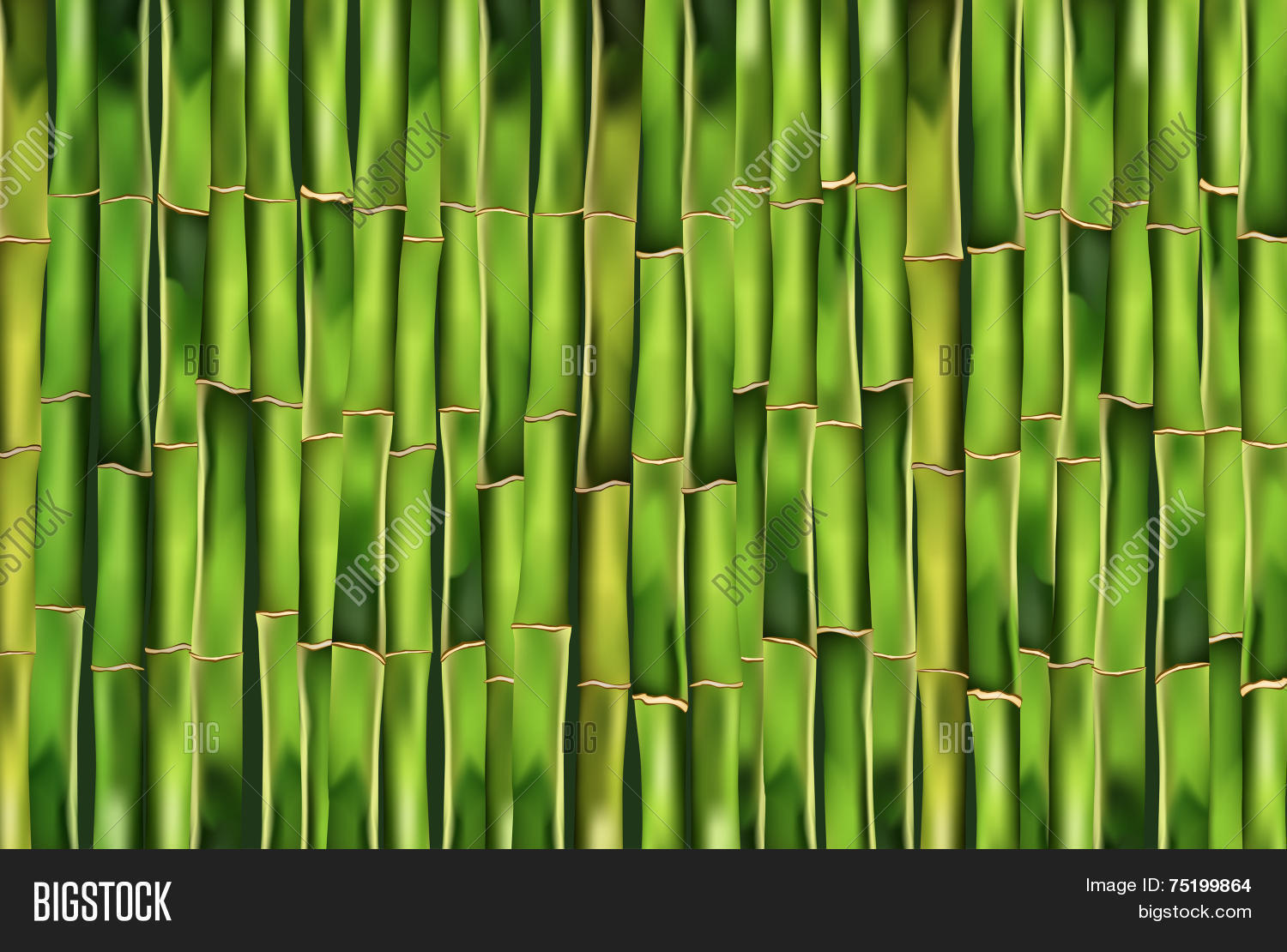 Bamboo Background Vector & Photo (Free Trial) | Bigstock