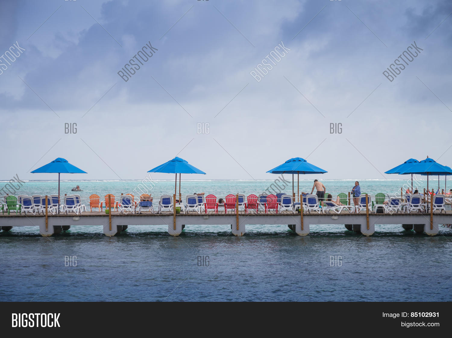 Decameron Aquarium Image & Photo (Free Trial) | Bigstock