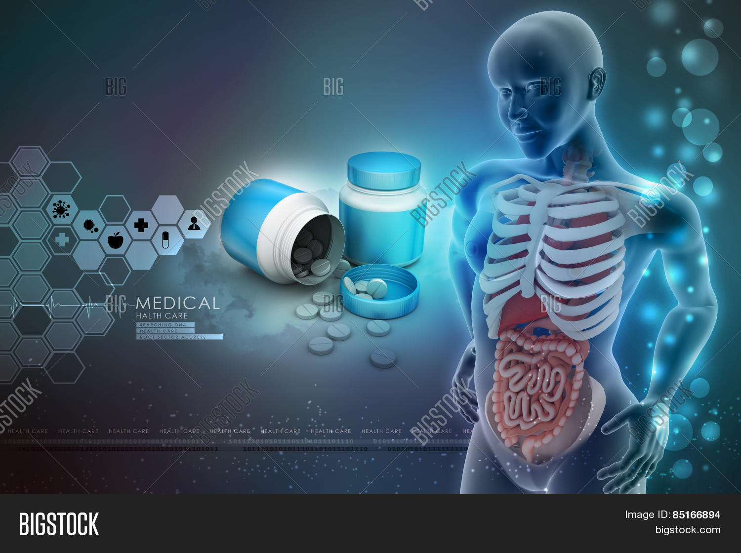 Human Anatomy Medicine Image & Photo (Free Trial) | Bigstock