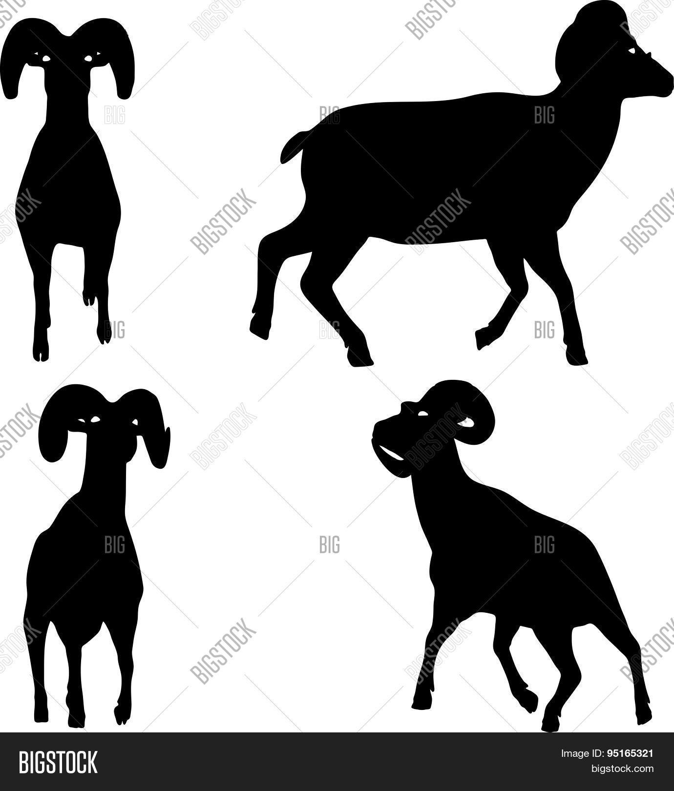 Big Horn Sheep Vector & Photo (Free Trial) | Bigstock