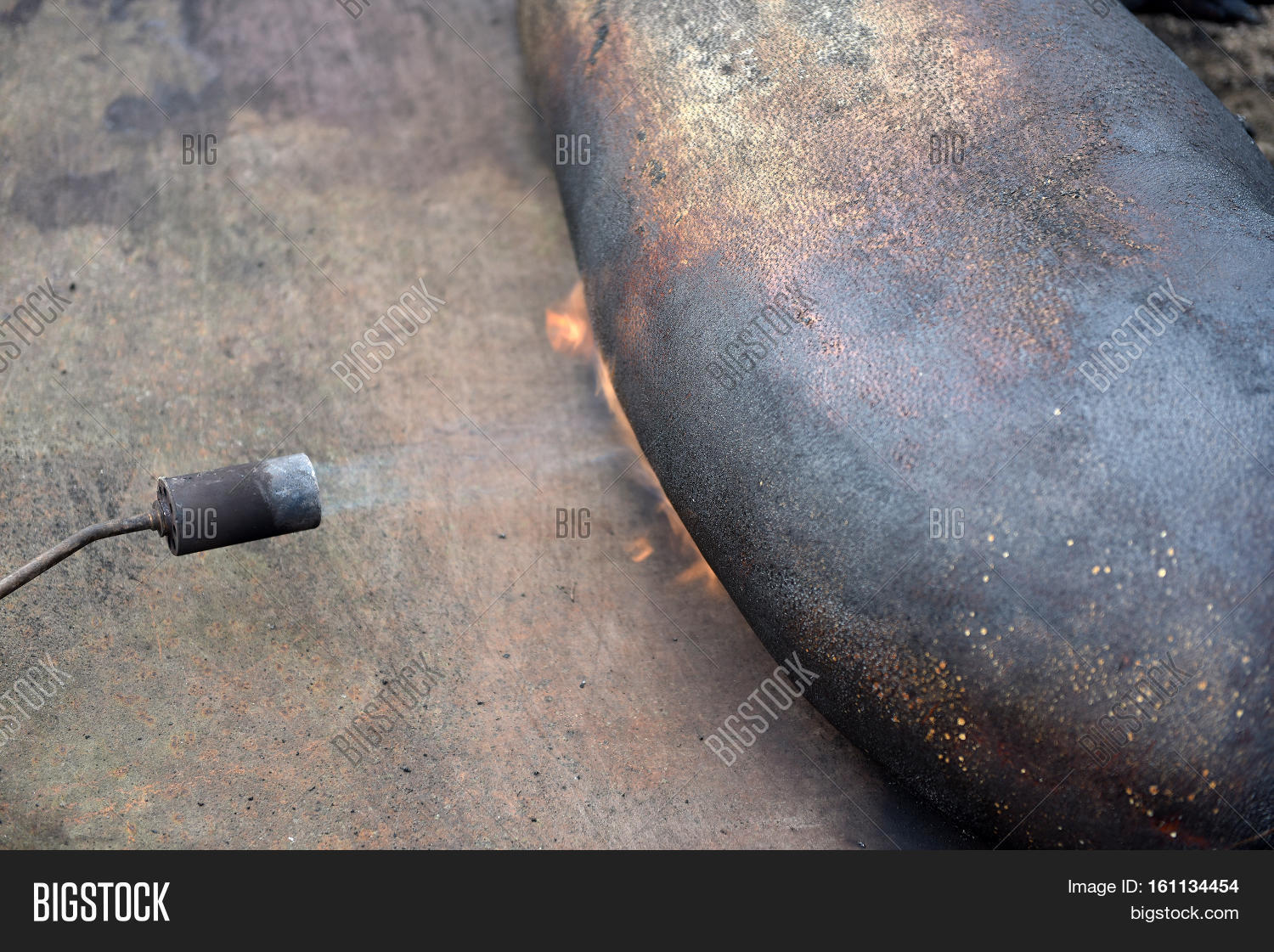 Slaughter Burn Pig Image & Photo (Free Trial) | Bigstock