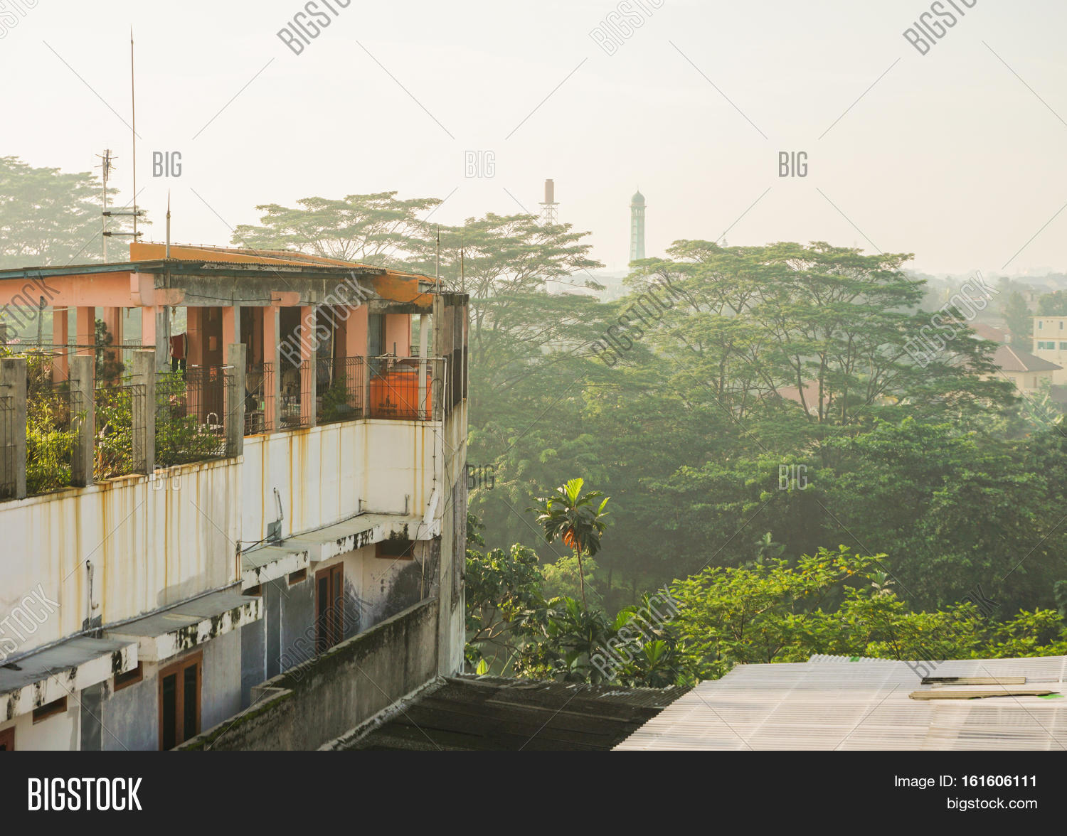 Rooftops Trees