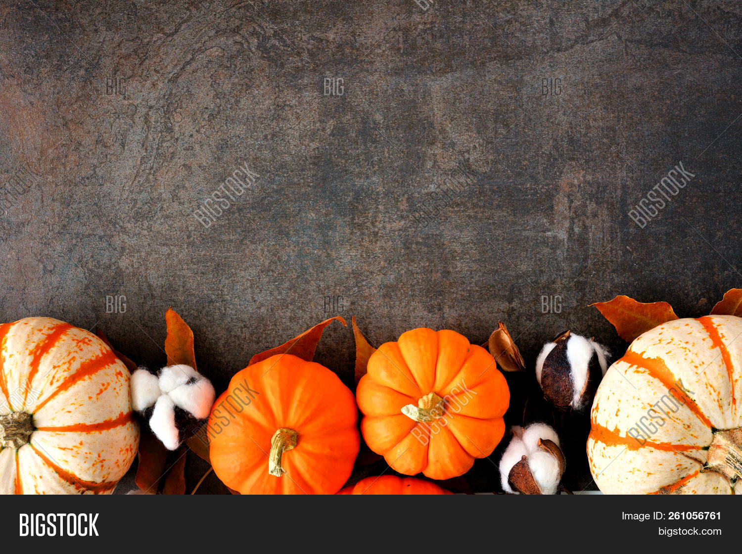 Autumn Bottom Border Image & Photo (Free Trial) | Bigstock