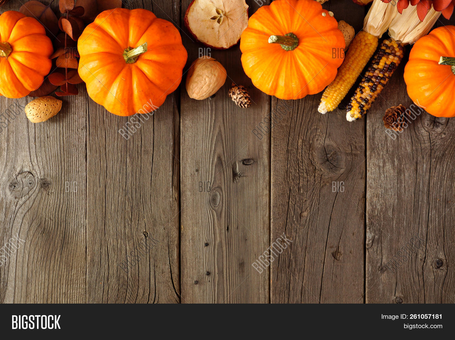 Autumn Top Border Image & Photo (Free Trial) | Bigstock