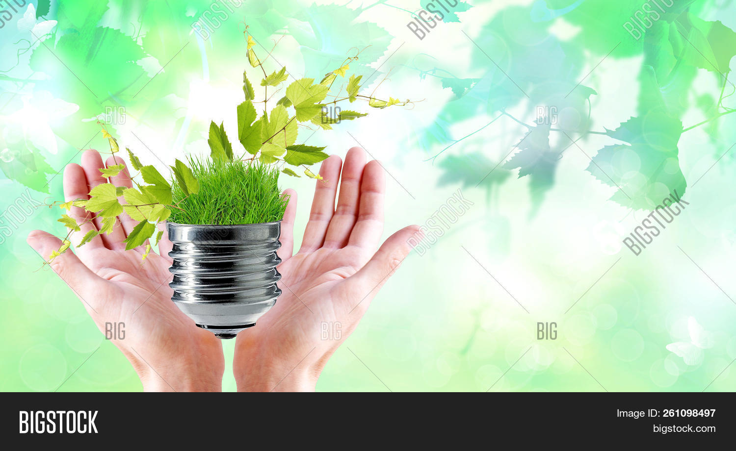 Clean Green Living Image & Photo (Free Trial) | Bigstock