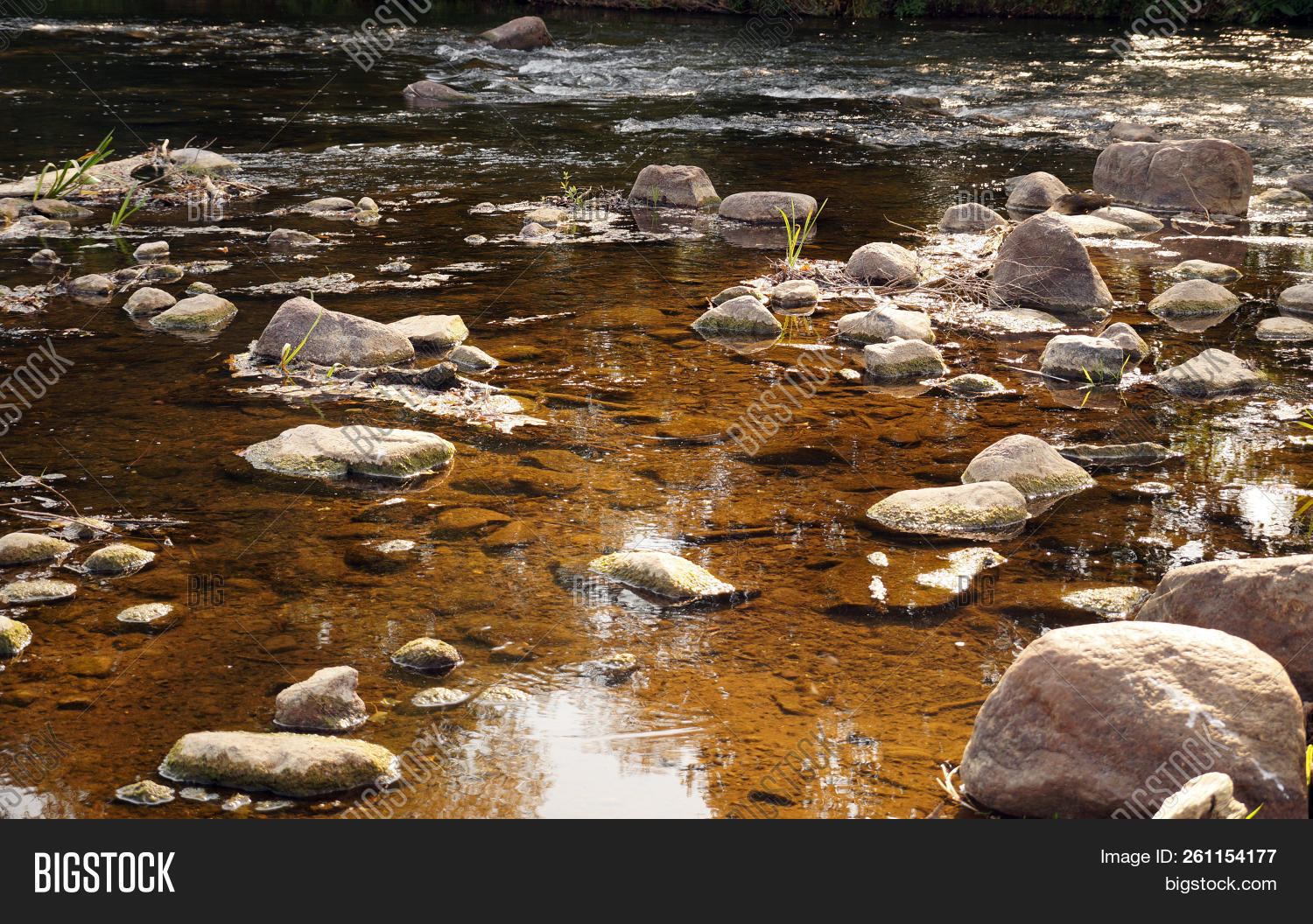 Clean Natural River. Image & Photo (Free Trial) | Bigstock