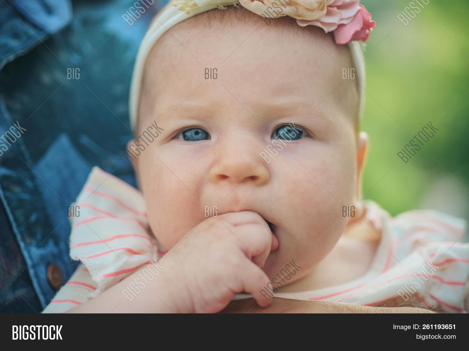Newborn Immunity Only Image & Photo (Free Trial) | Bigstock