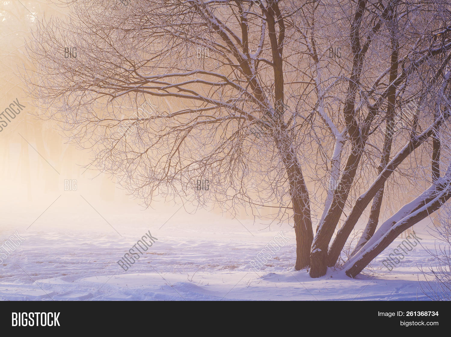 Winter Scene. Frosty Image & Photo (Free Trial) | Bigstock