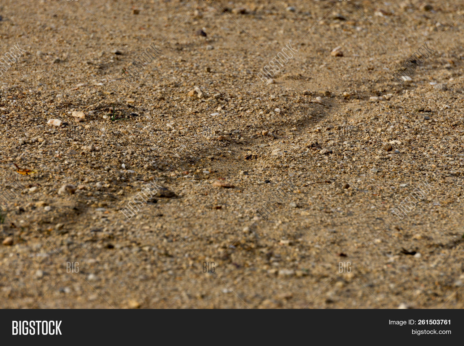 Beach Sand Background Image & Photo (Free Trial) | Bigstock