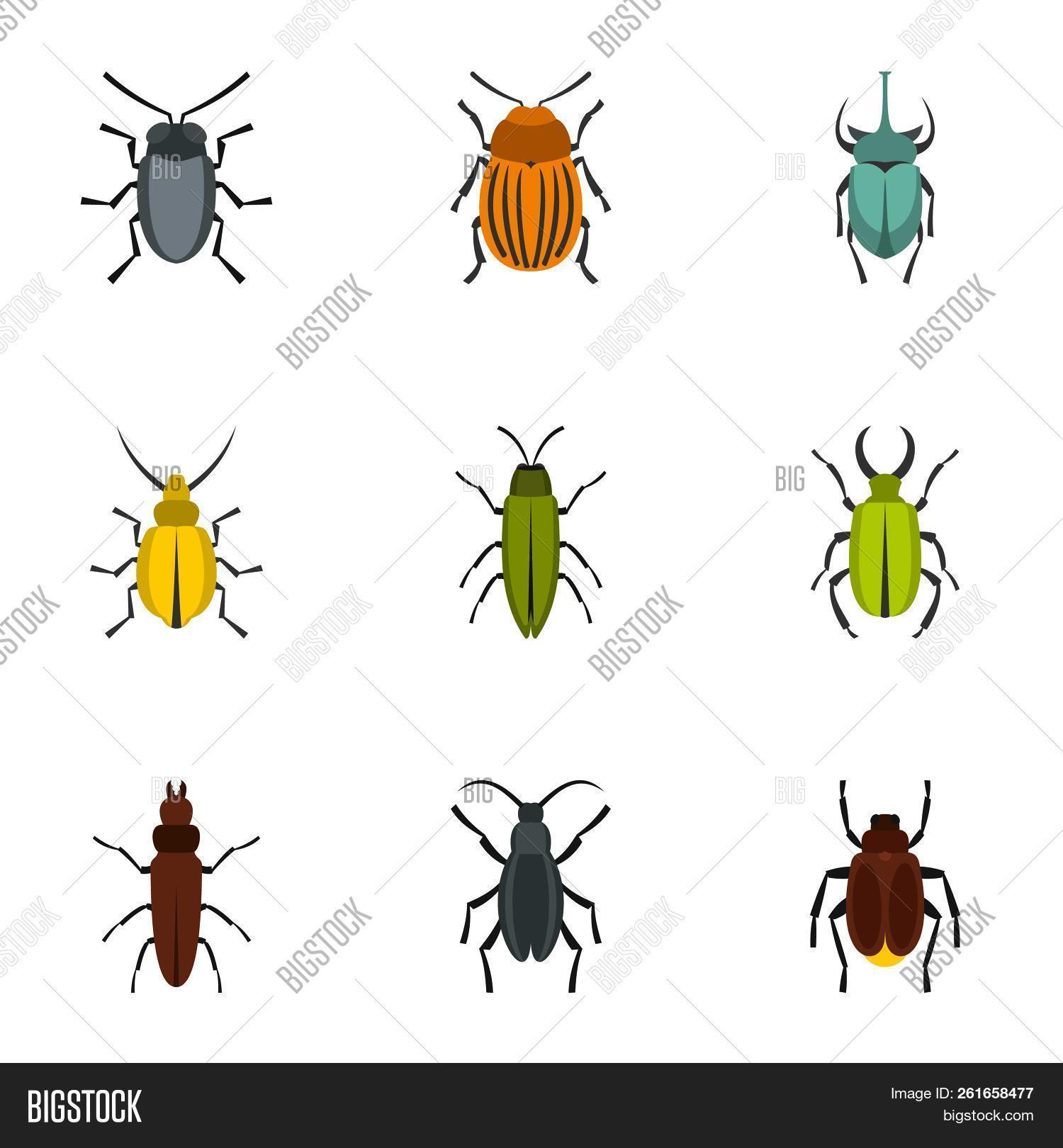 Beetle Icons Set. Flat Image & Photo (Free Trial) | Bigstock