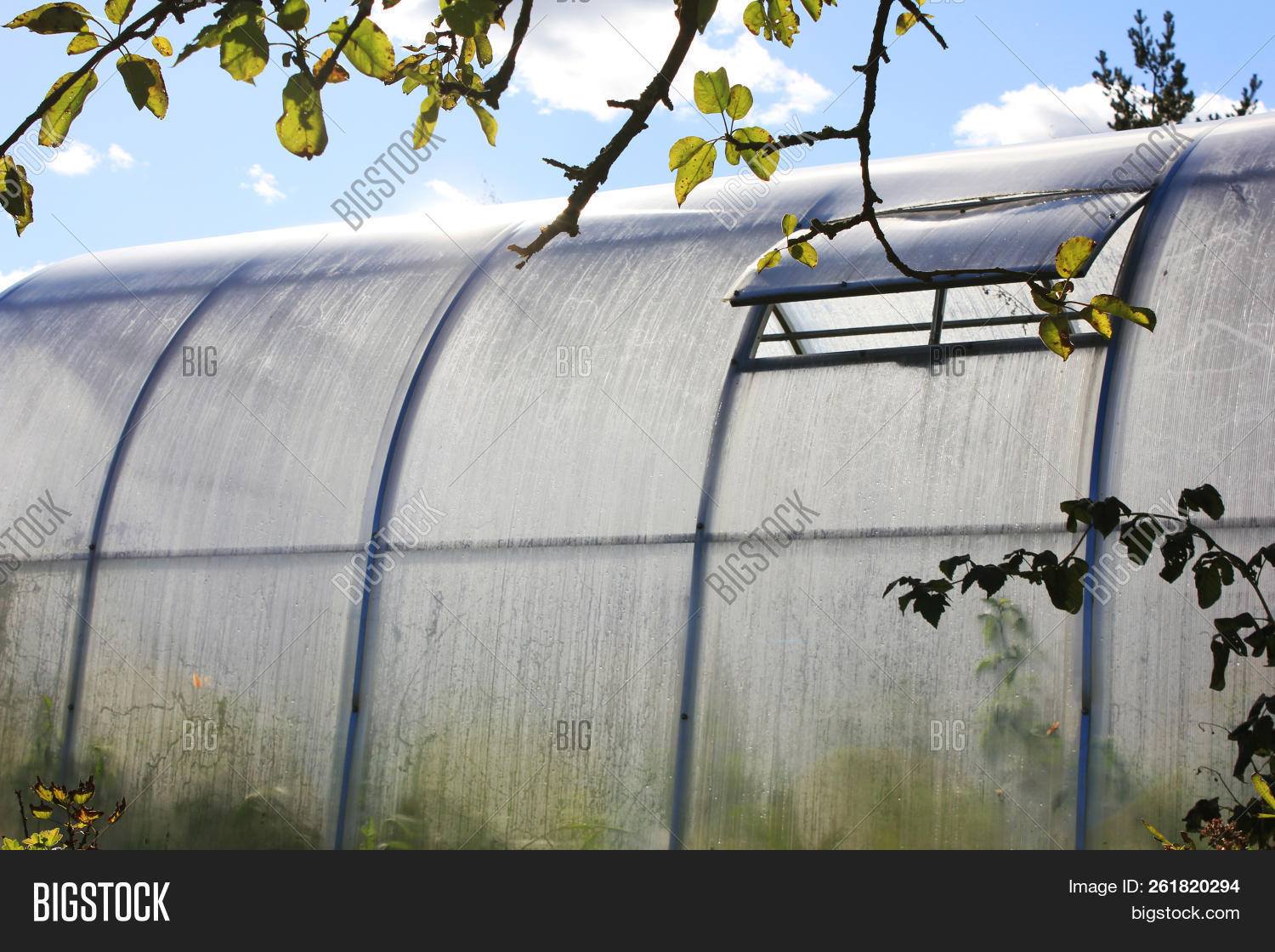 Garden Greenhouse Image & Photo (Free Trial) | Bigstock