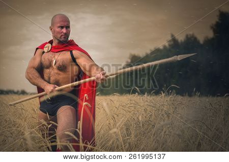 Spartan Ancient Image & Photo (Free Trial) | Bigstock