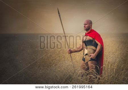 Spartan Ancient Image & Photo (Free Trial) | Bigstock