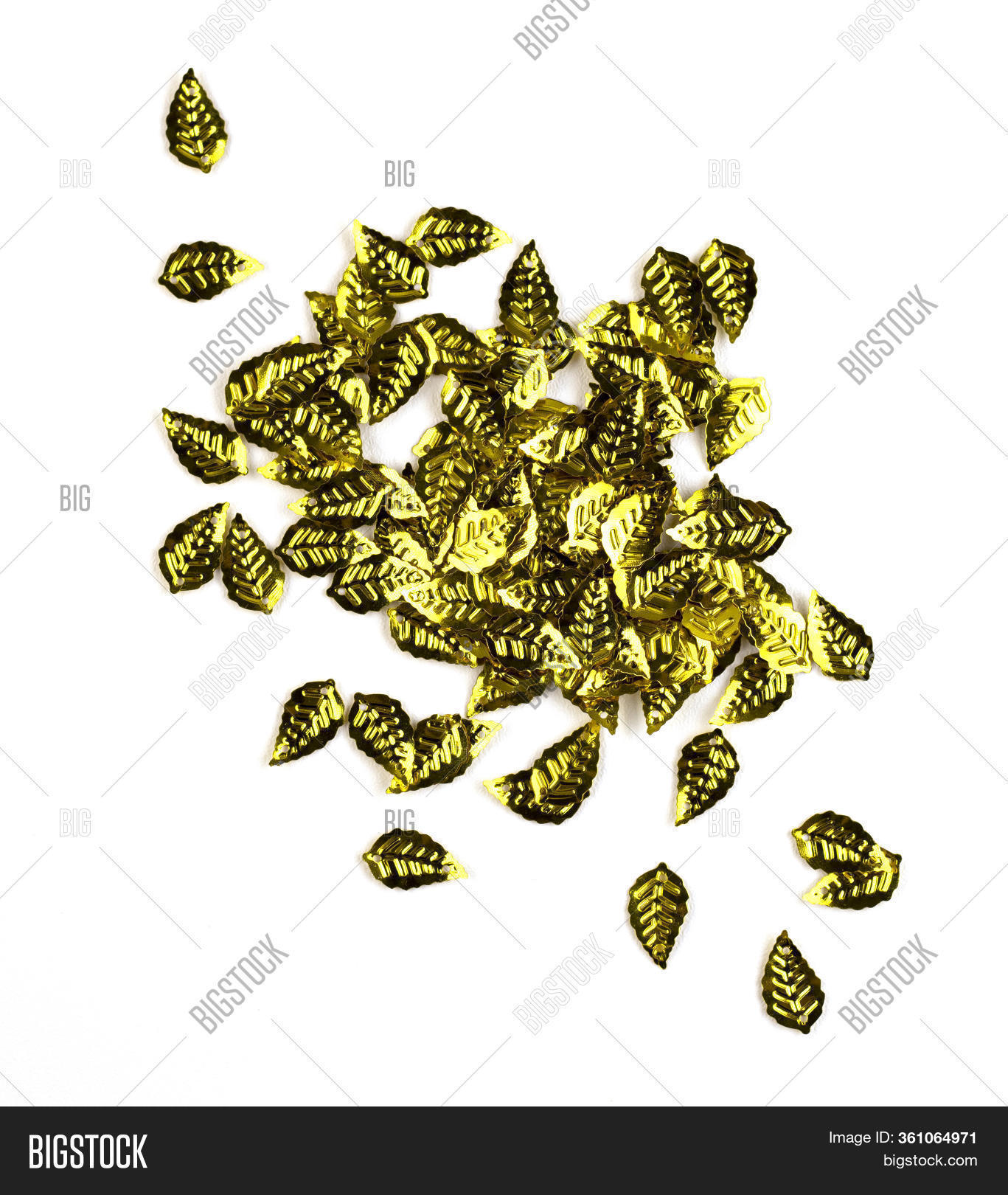 Set Gold Leaves Image & Photo (Free Trial) | Bigstock