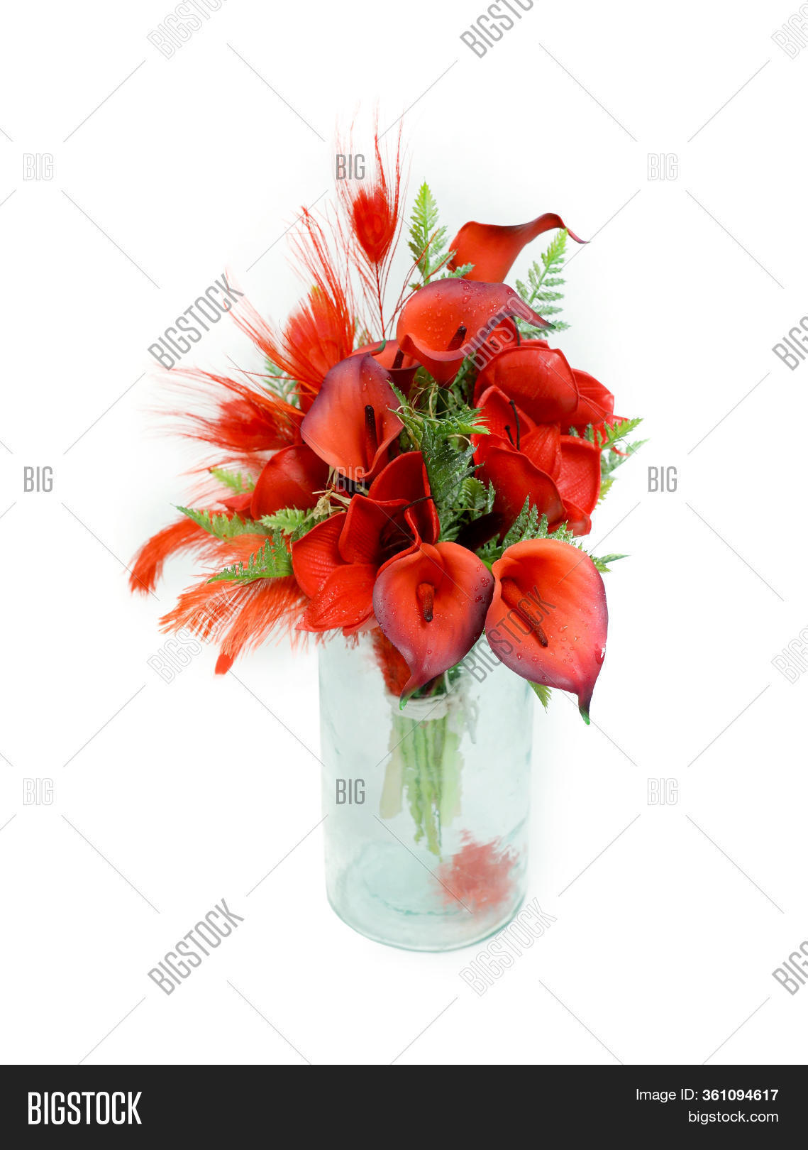 Red Peacock Feathers. Image & Photo (Free Trial) | Bigstock