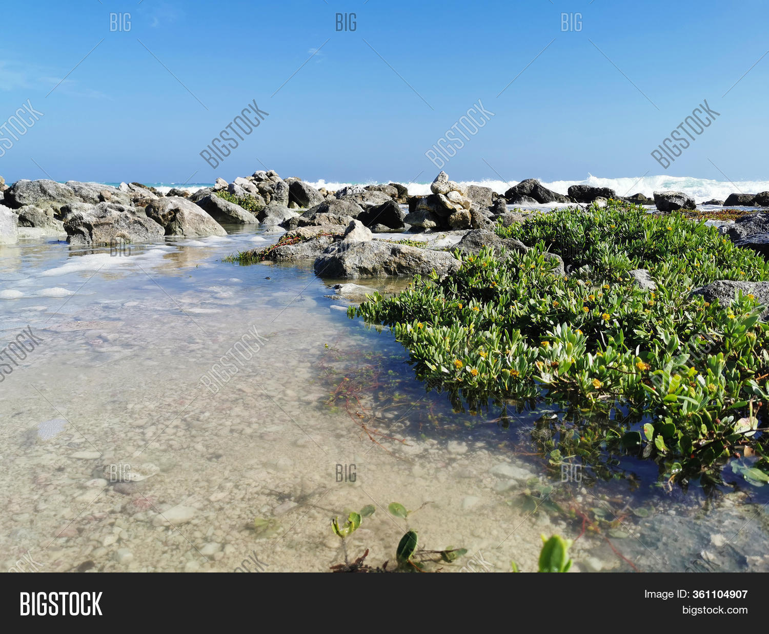Clear Salty Water Image & Photo (Free Trial) | Bigstock