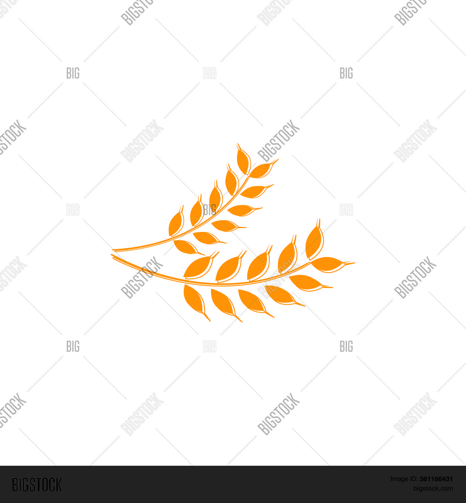 Agriculture Wheat Vector & Photo (Free Trial) | Bigstock