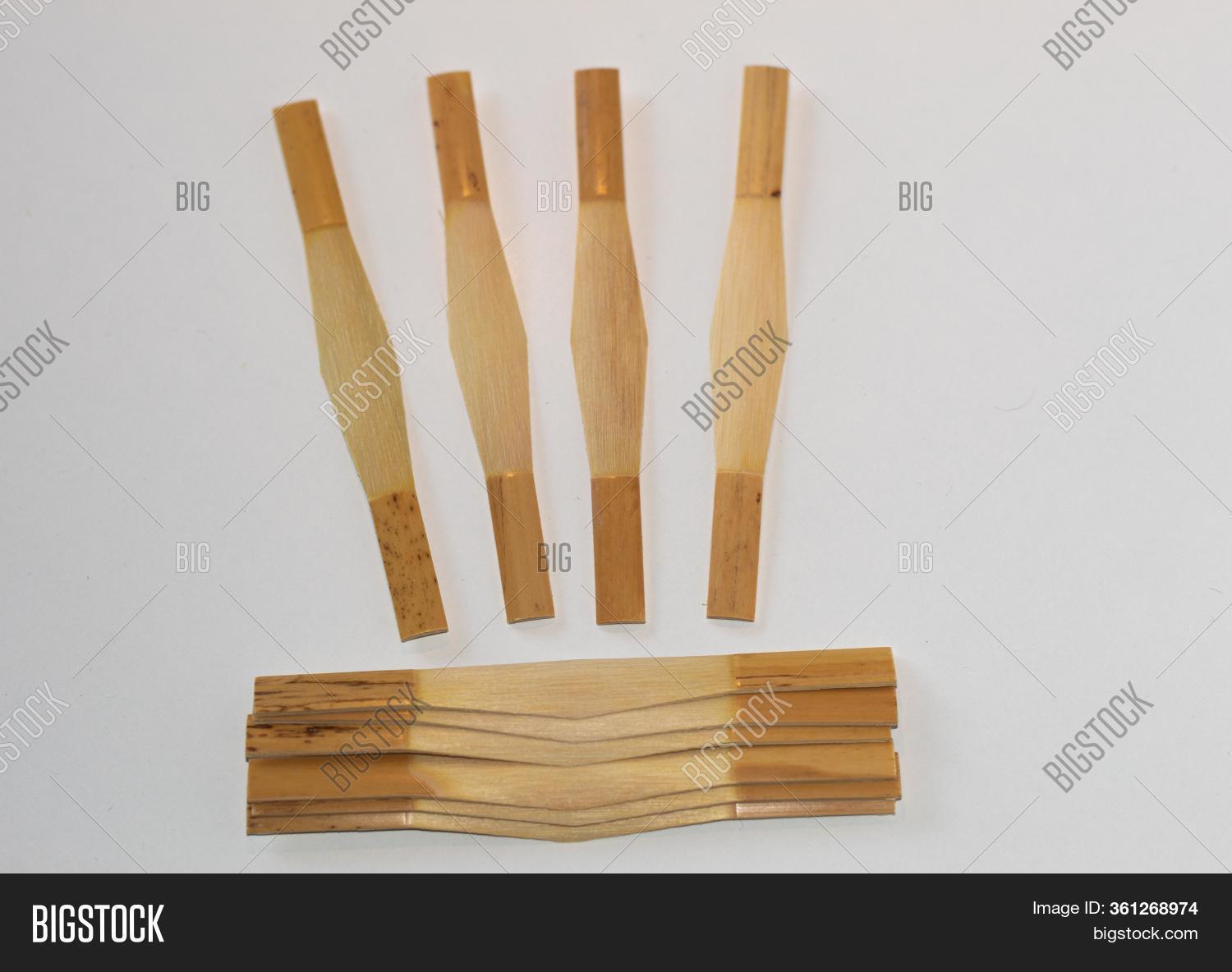 Bamboo Canes Cut Into Image & Photo (Free Trial) | Bigstock