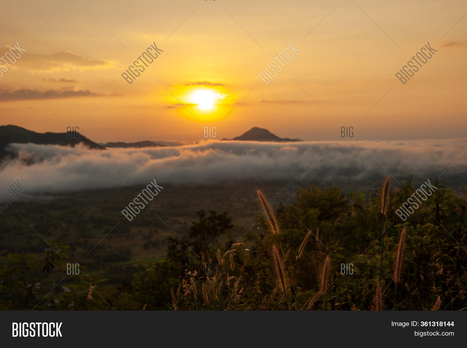 Beautiful Dramatic Image & Photo (Free Trial) | Bigstock