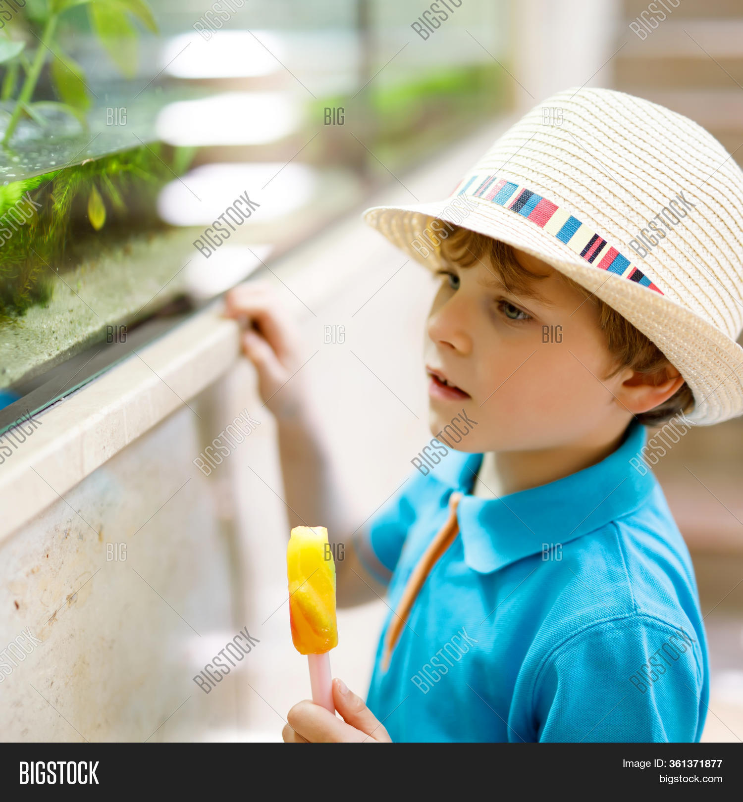 Little Kid Boy Admire Image & Photo (Free Trial) | Bigstock