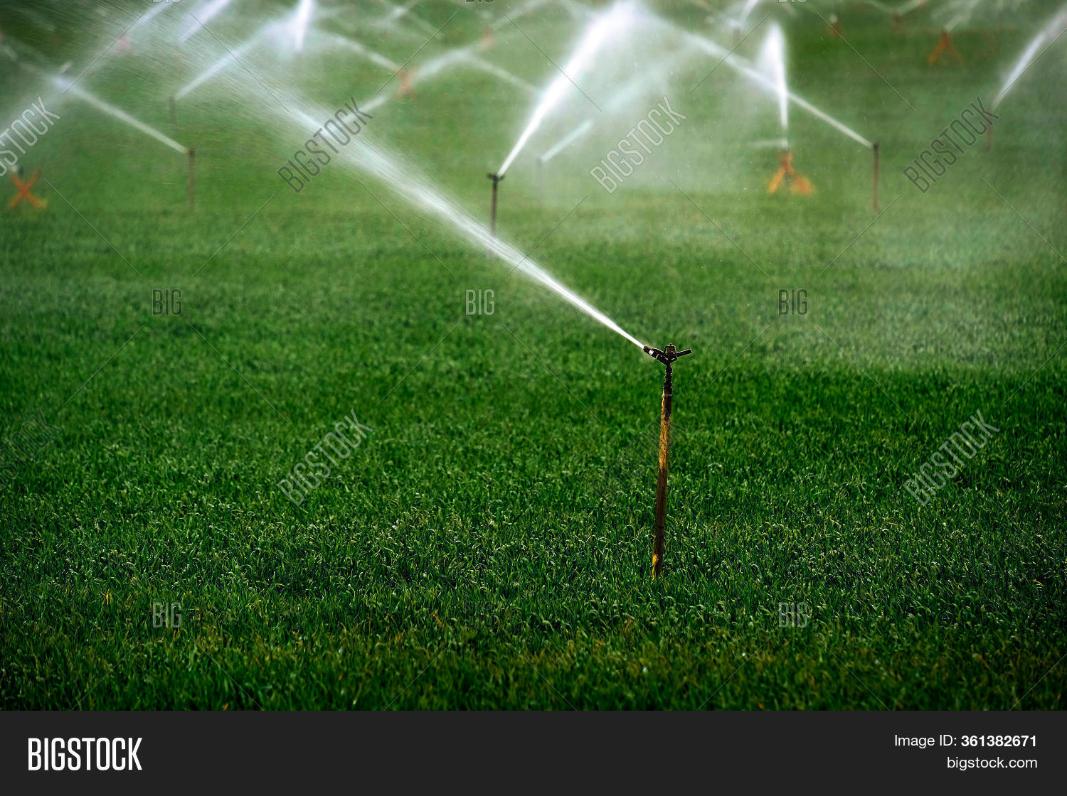 Sprinker Irrigation Image & Photo (Free Trial) | Bigstock