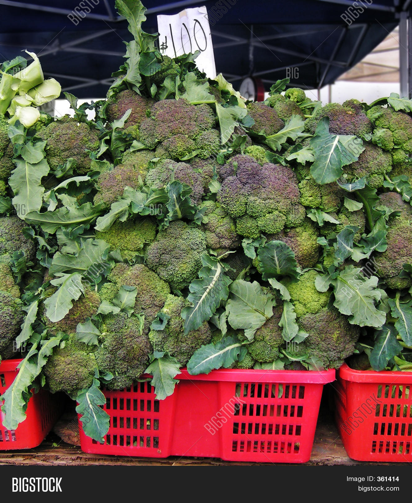 Broccoli Image & Photo (Free Trial) | Bigstock