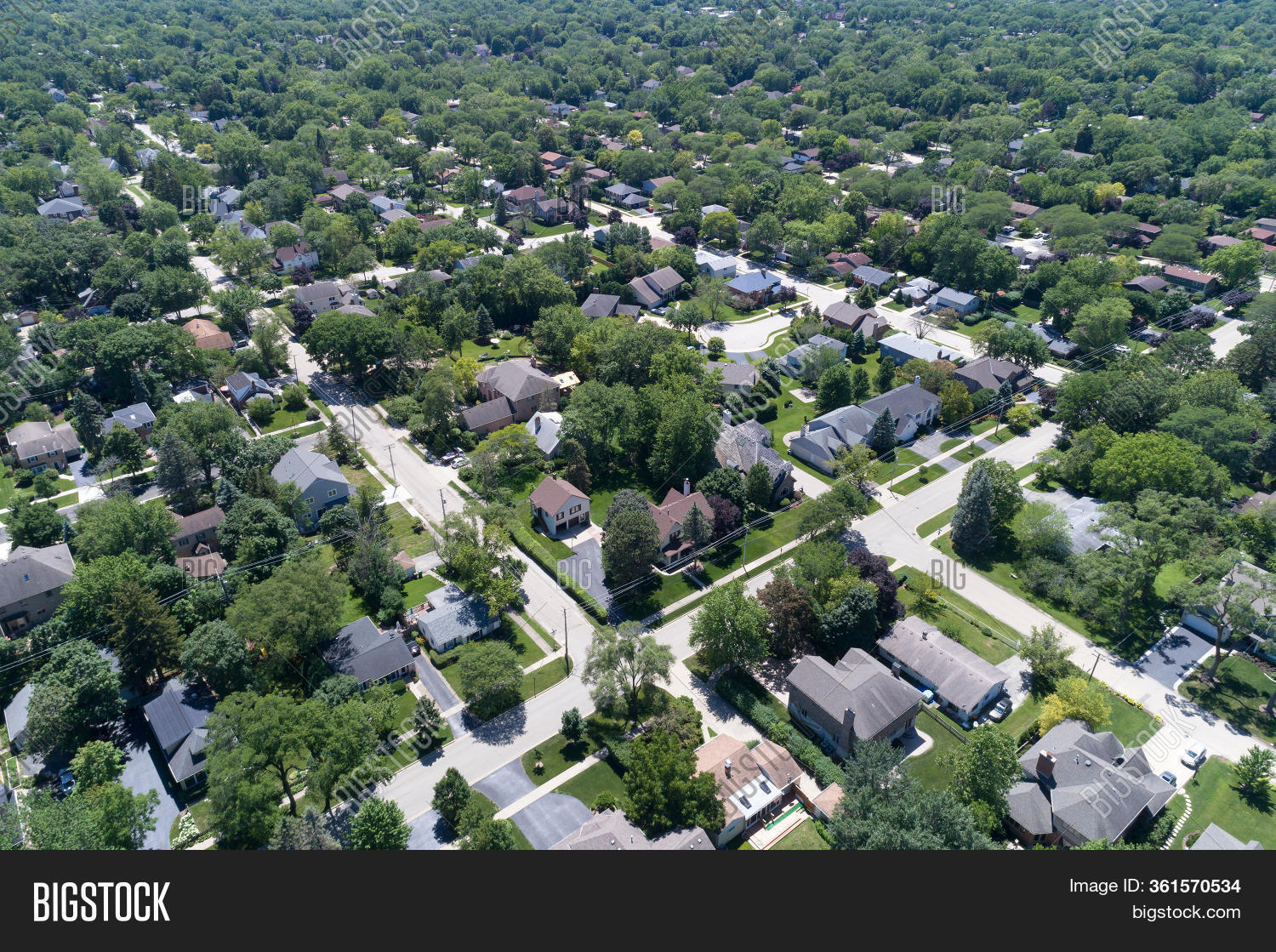Aerial View Tree-lined Image & Photo (Free Trial) | Bigstock