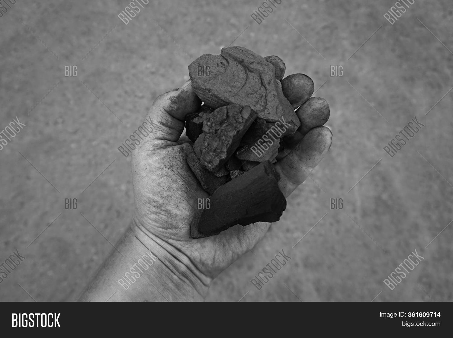 Coal Mining - Man Hand Image & Photo (Free Trial) | Bigstock