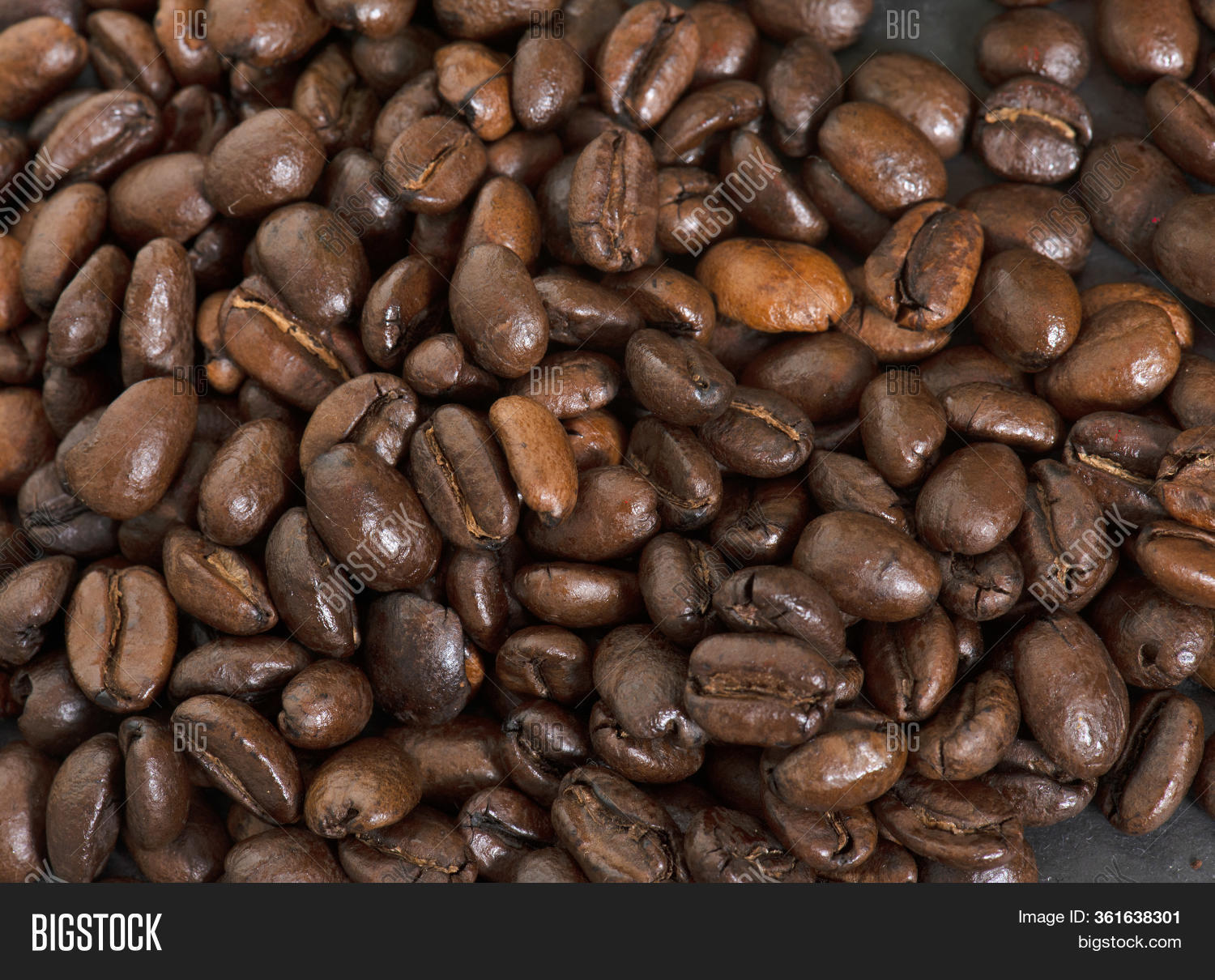 Brown Coffee Beans Image & Photo (Free Trial) | Bigstock