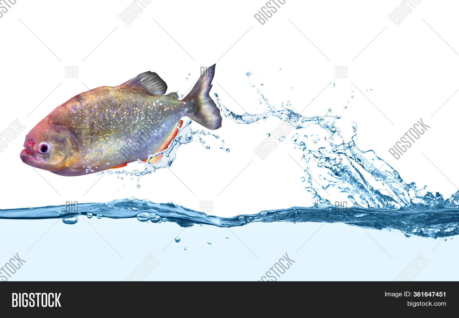 Beautiful Shiny Image & Photo (Free Trial) | Bigstock