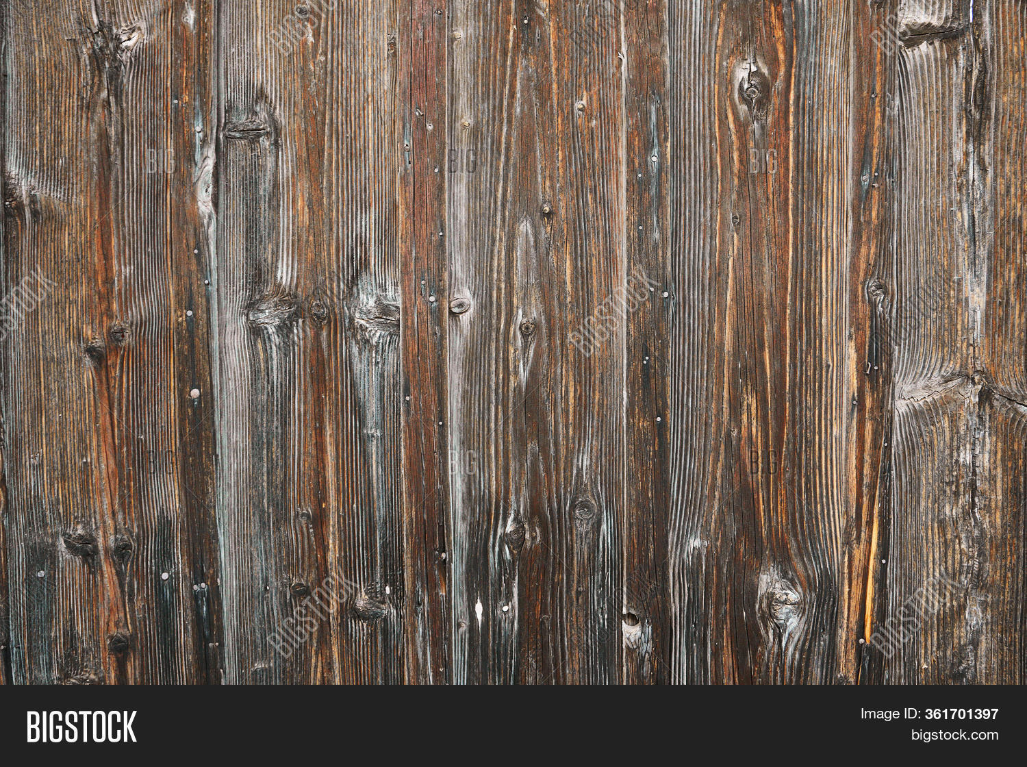 Spruce Boards Image & Photo (Free Trial) | Bigstock