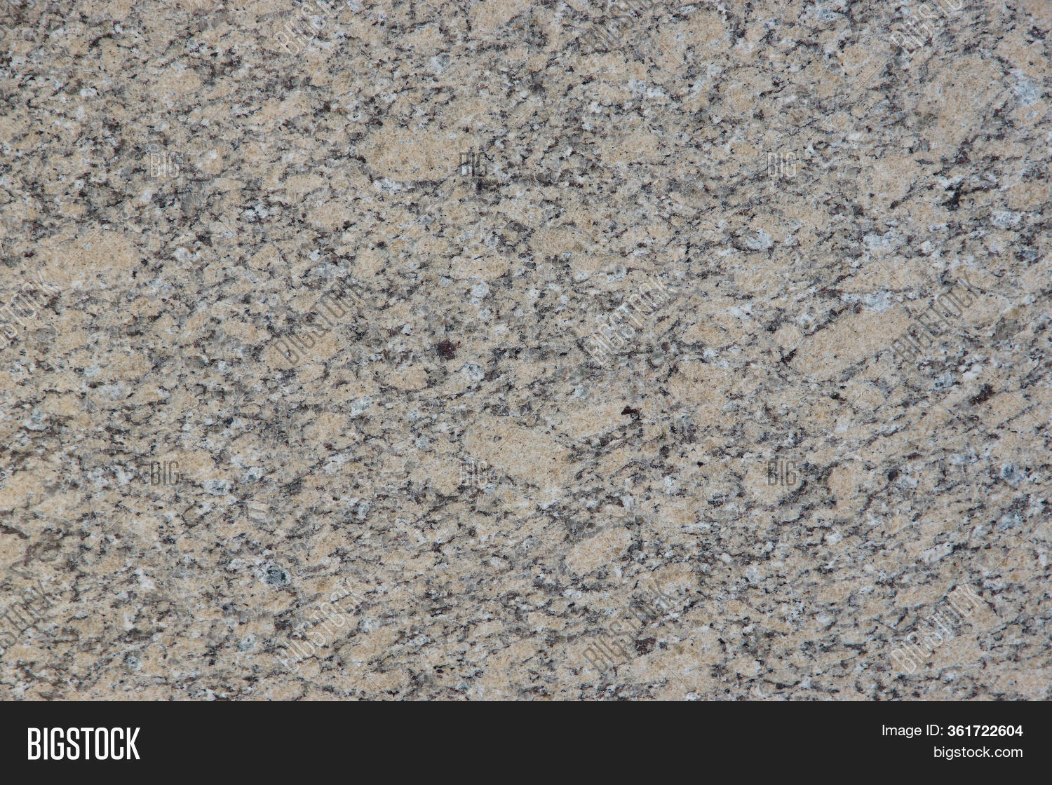 Slab Natural Beige Image & Photo (Free Trial) | Bigstock