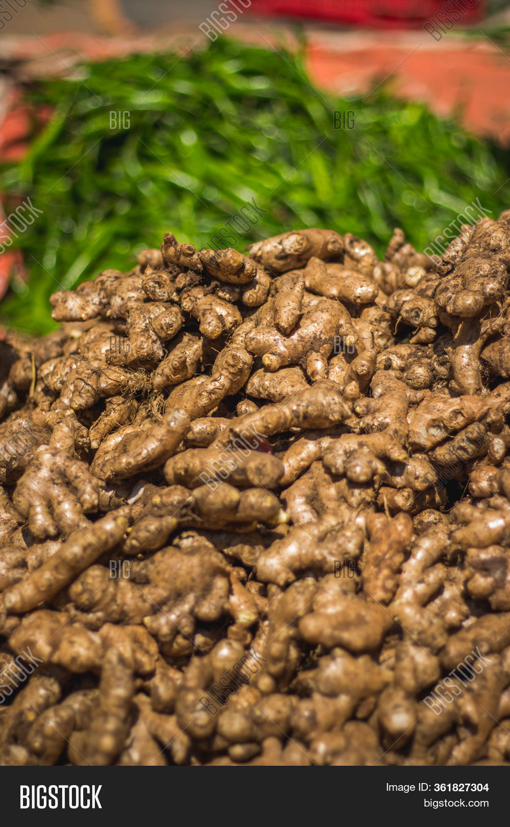 Ginger Green Chili Image & Photo (Free Trial) | Bigstock