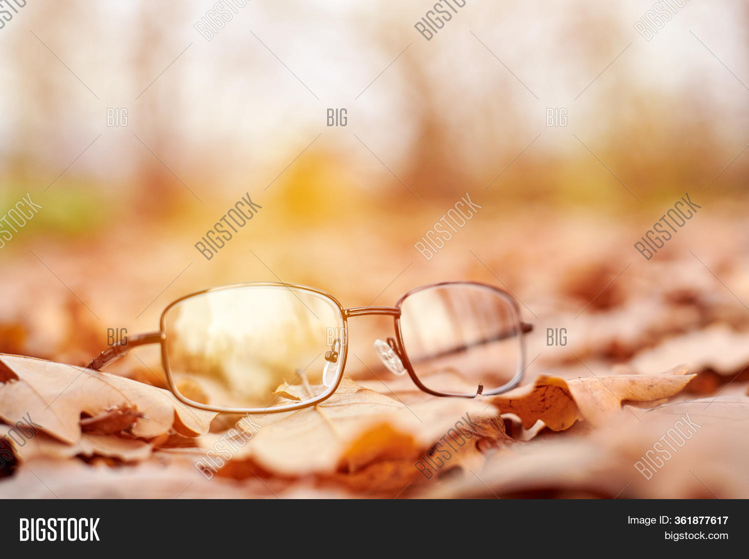 Glasses On Autumn Image & Photo (Free Trial) | Bigstock