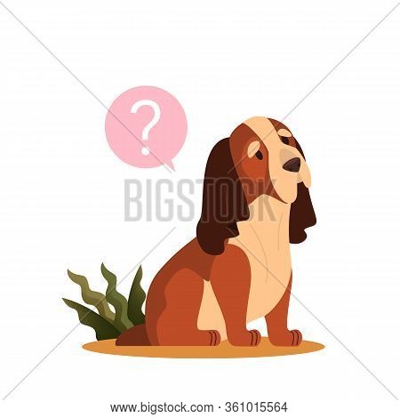 Cute Dog Question Vector & Photo (Free Trial) | Bigstock