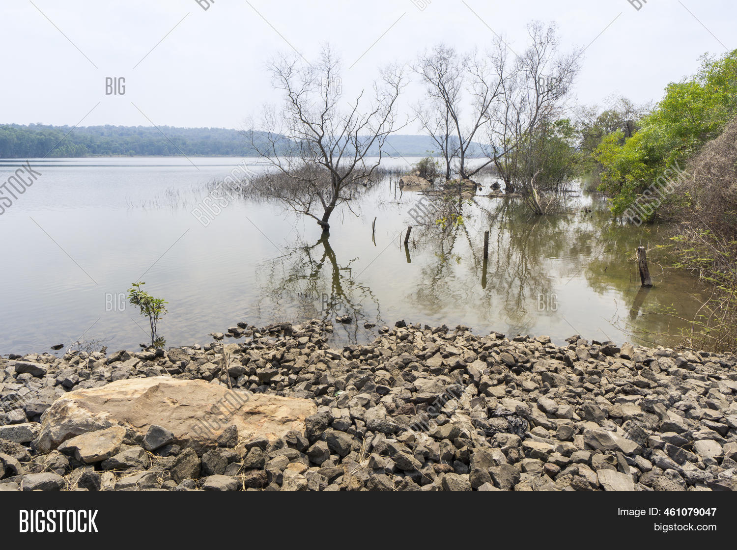 Man Made Reservoir Image & Photo (Free Trial) | Bigstock