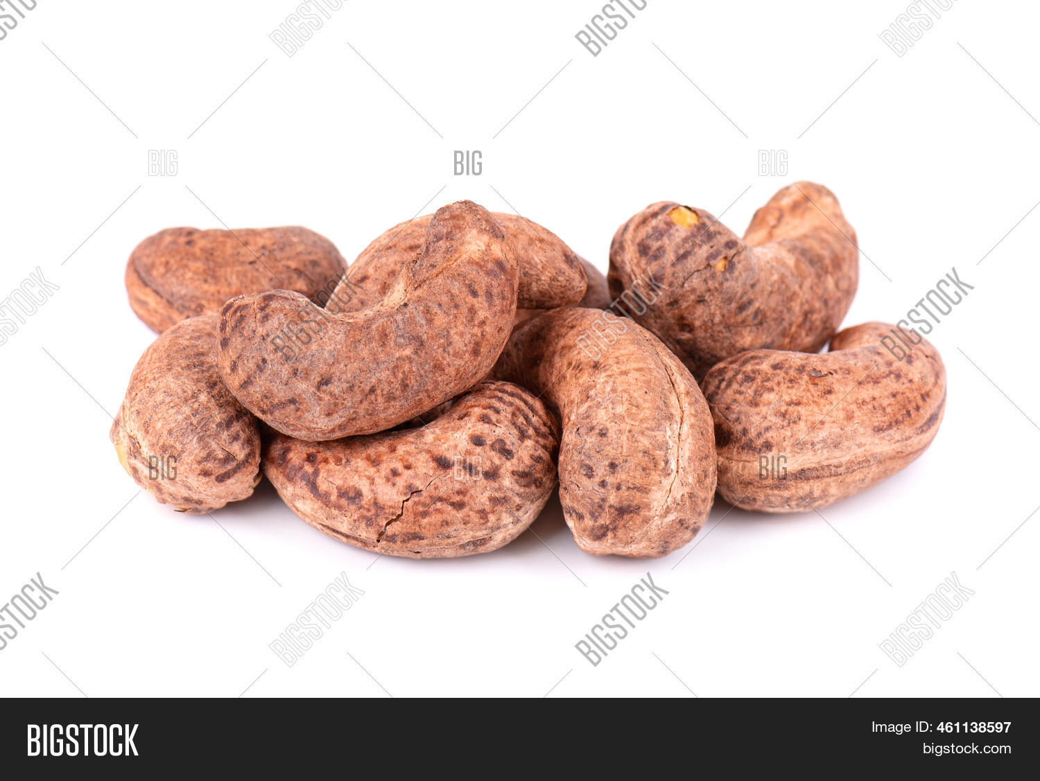 Cashew Nuts Shell Image & Photo (Free Trial) | Bigstock