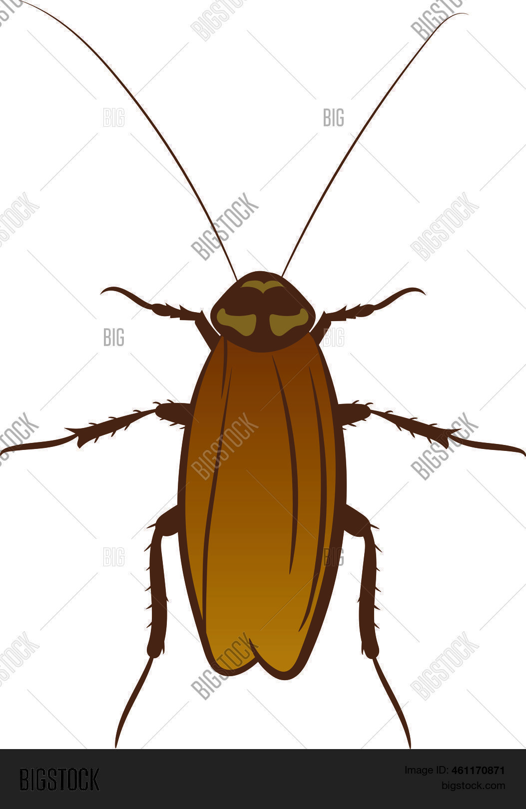 Cockroach Realistic Vector & Photo (Free Trial) | Bigstock